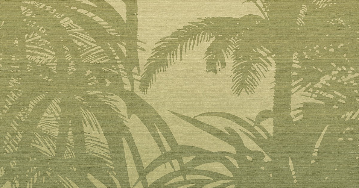 Oerwoud met tropische planten en palmbomen bij zonsondergang | Masureel